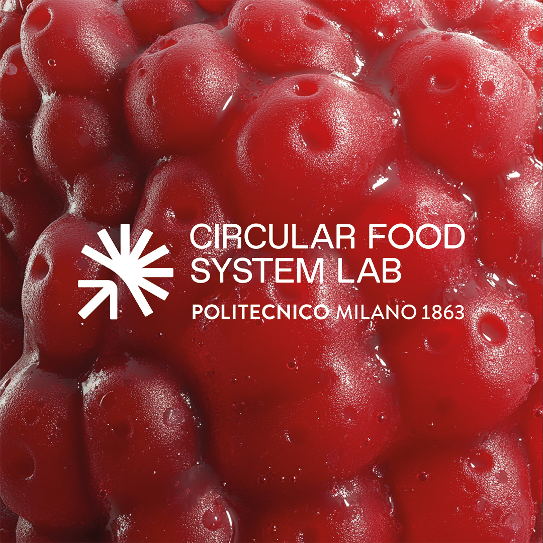 CFS Lab raspberry 1080x1080 - Polifactory